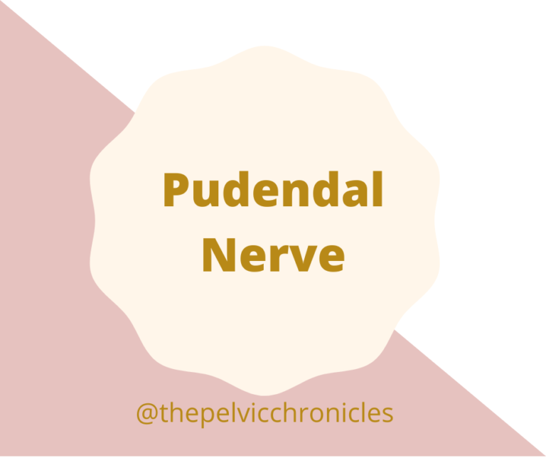 Pudendal Nerve Pain in the pelvic area - Foundational Concepts