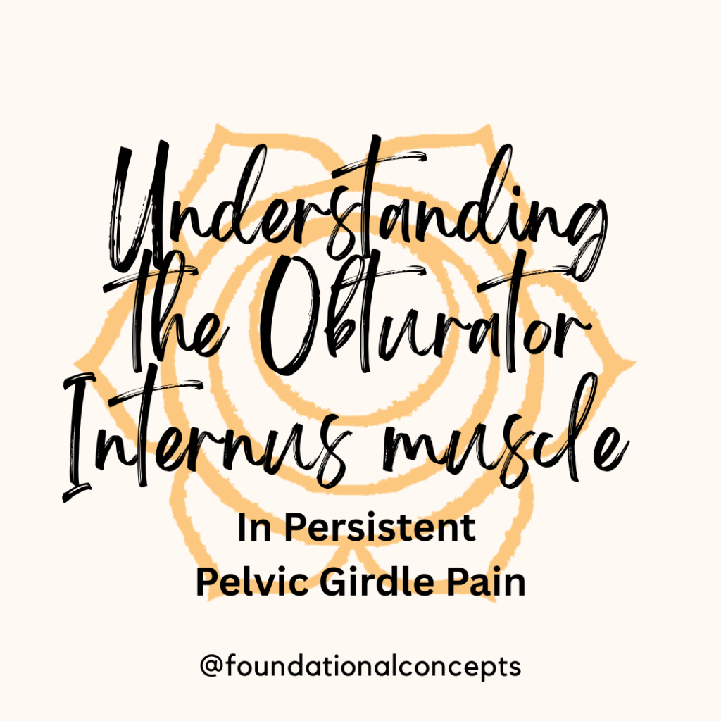 Understanding the Obturator Internus Muscle in Persistent Pelvic Girdle ...